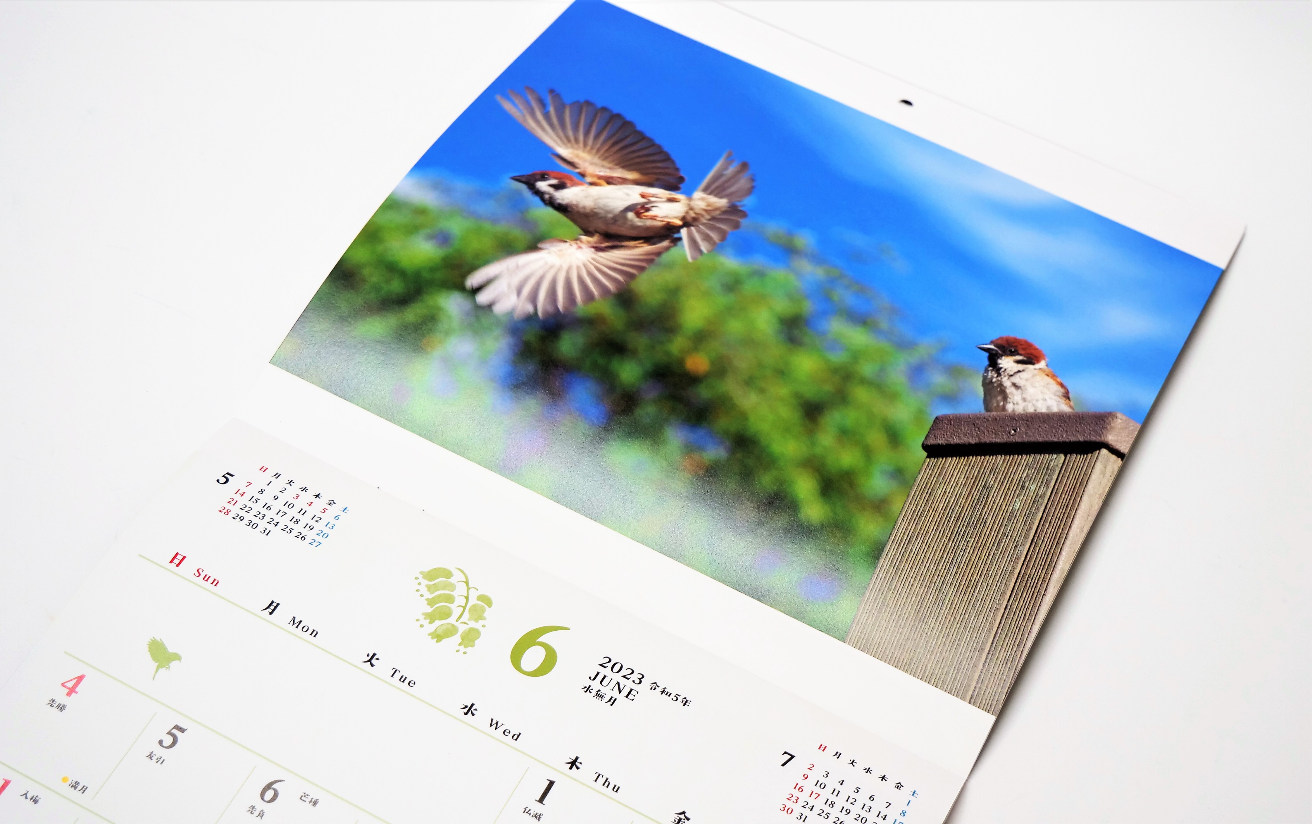 自由気ままなすずめの12ヶ月にほんわか心癒されるカレンダー - 東京印書館 | 写真集・展覧会図録・絵本・その他印刷物の企画制作| TOKYO INSHOKAN PRINTING CO.,LTD.
